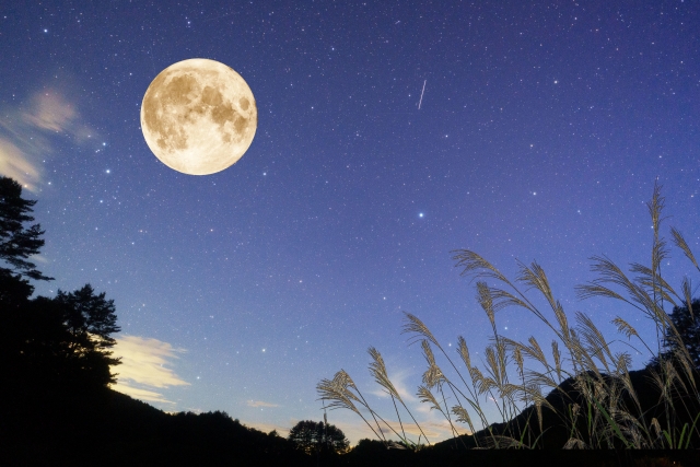 Tsukimi: Japan’s Mid-Autumn Festival and Moon Viewing Tradition – Miles ...